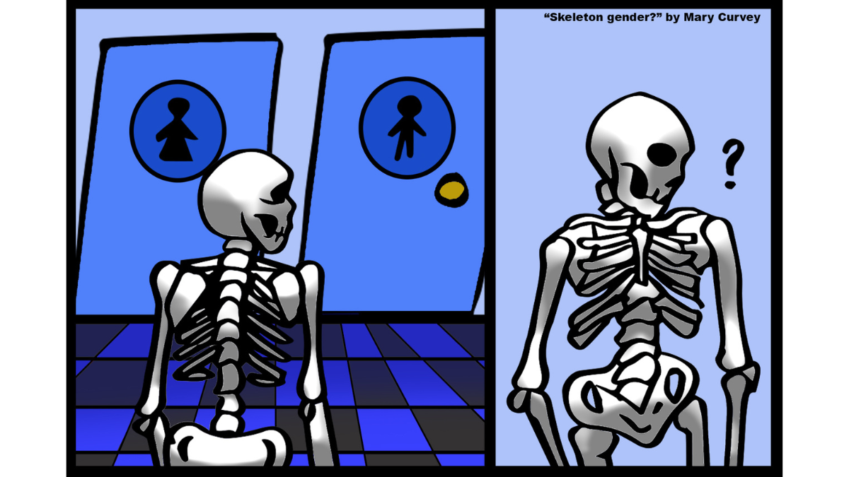 Skeleton Gender Comic – The Bridge