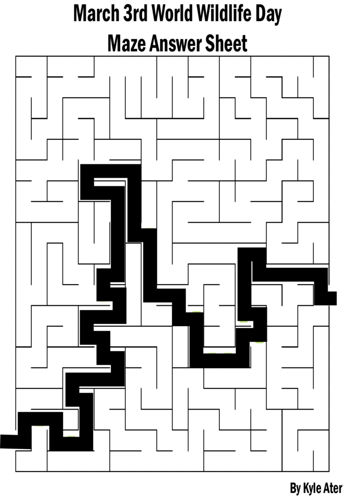 World Wildlife Day Maze Answer Key – The Bridge